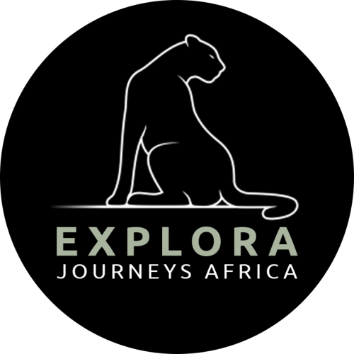 Why Explora Journeys Africa - Explora Journeys Africa
