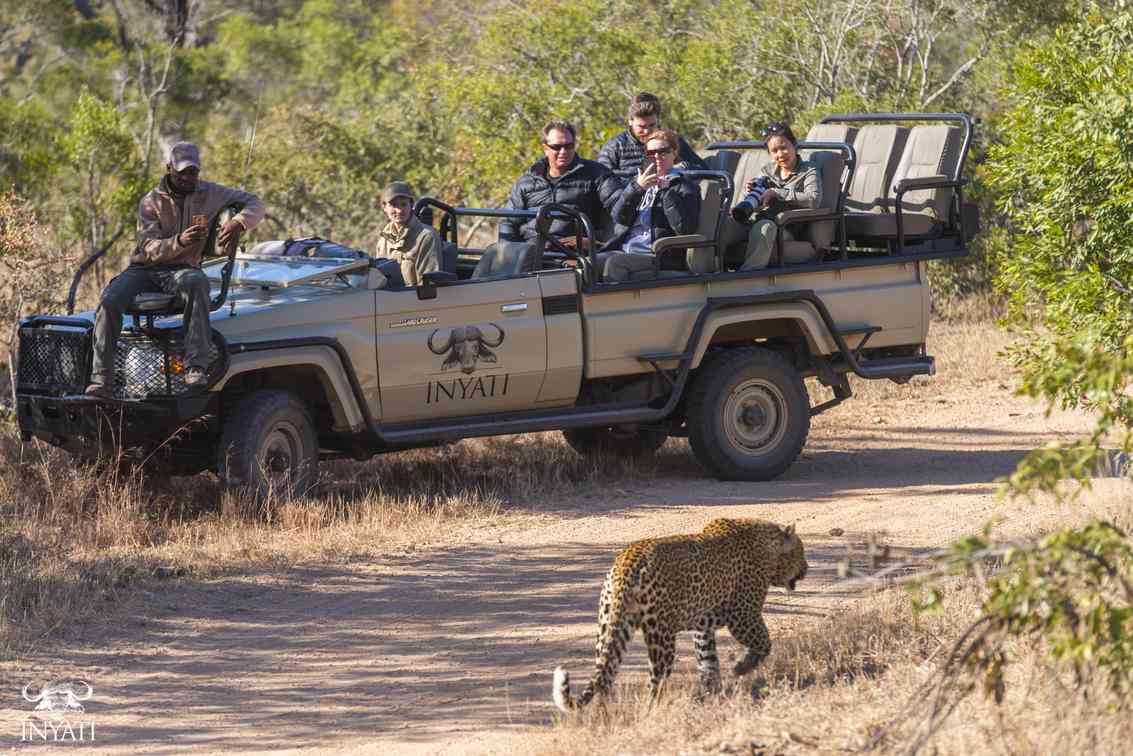 Sabi Sand Nature Reserve - Explora Journeys Africa